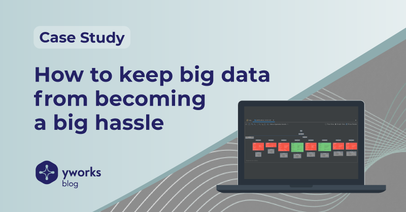 Case Study: DbVis Software AB